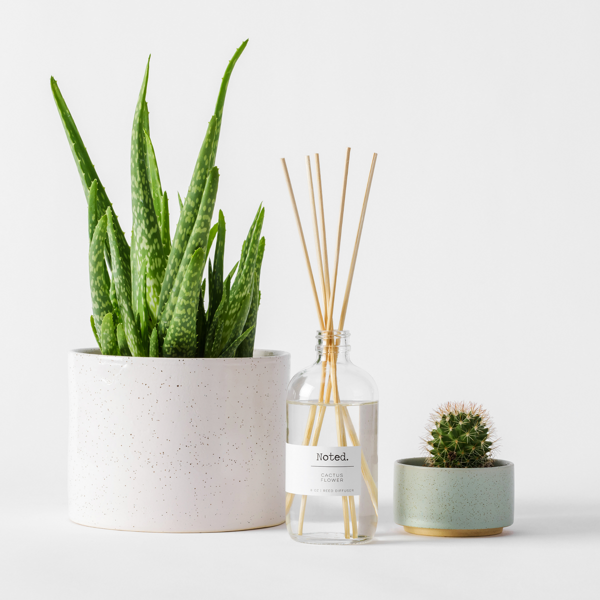 Cactus Flower Reed Diffuser – Noted Candles